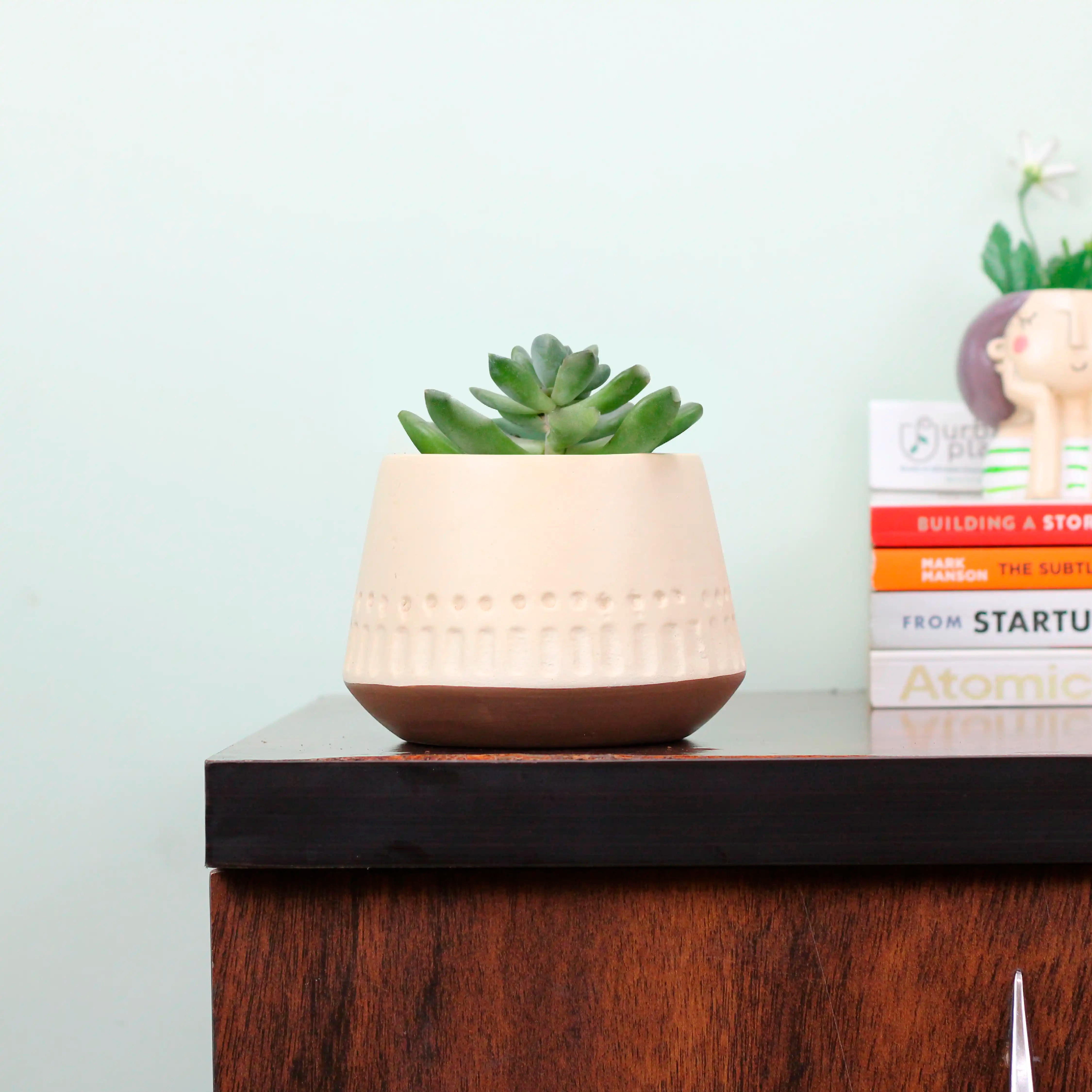 Buy Eco Friendly Planters Urban Plant