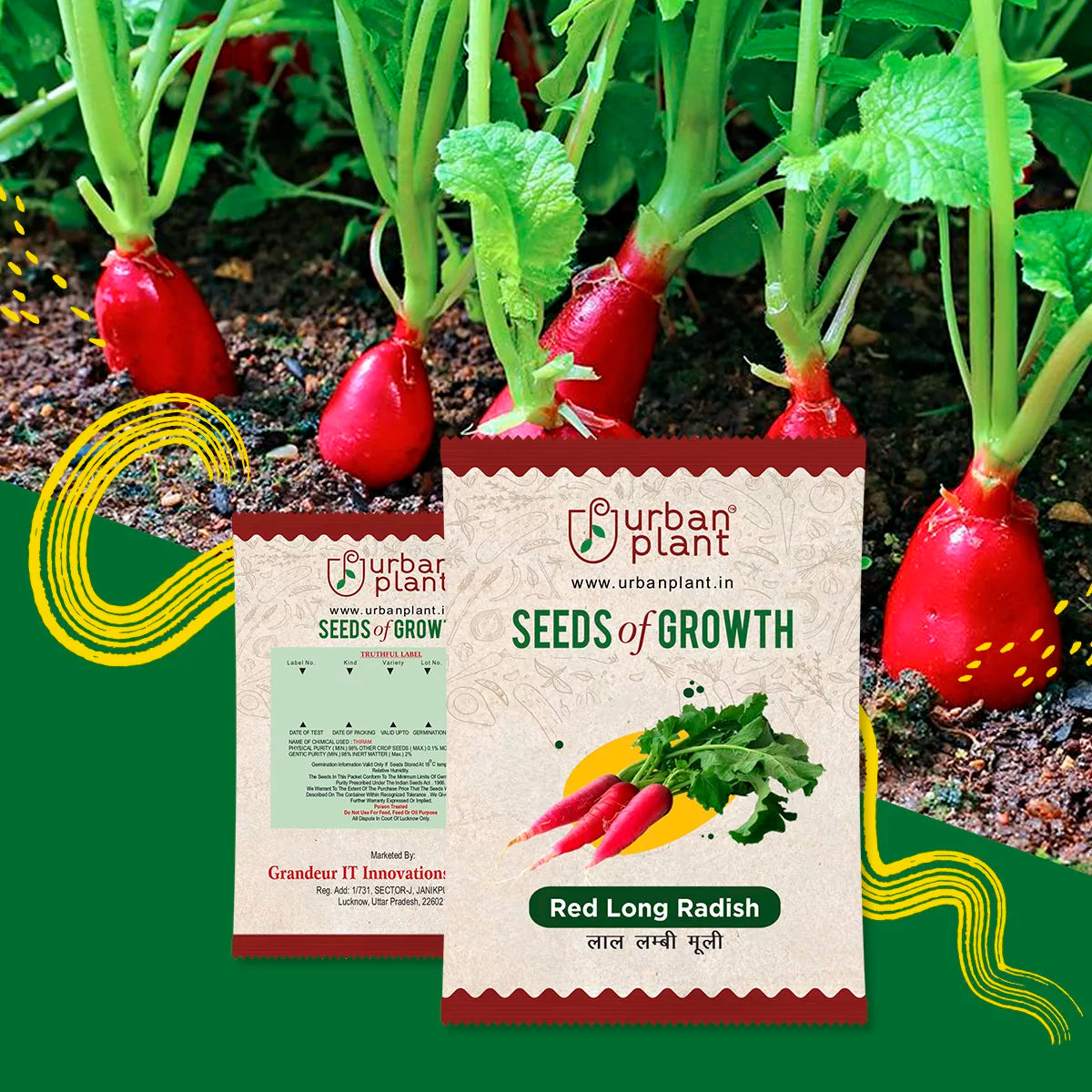 Radish Seed Packet 25 Daikon Radish Seed Pack Perfect For Garden,