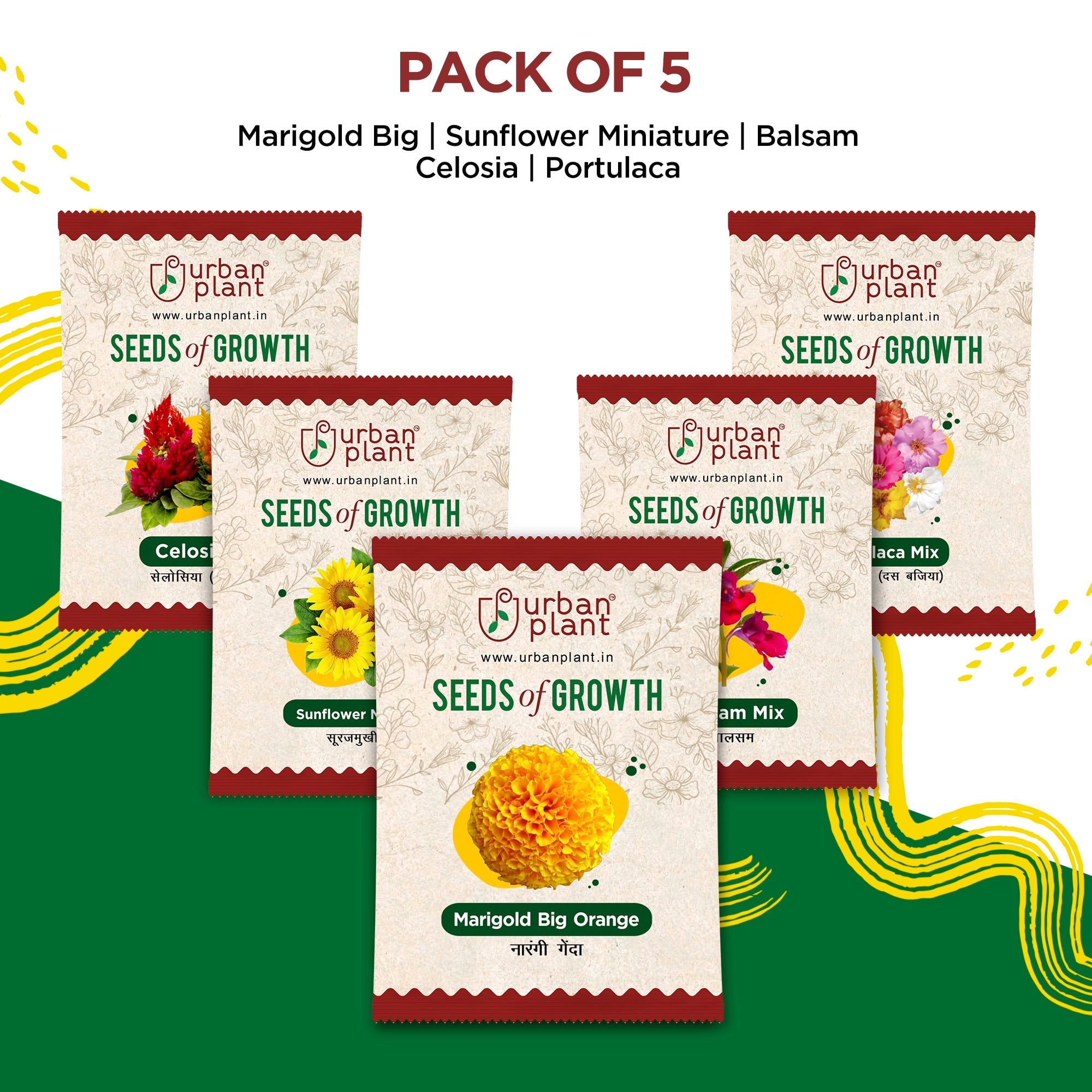 Garden Glam - (Pack of 5 Flower Seeds)