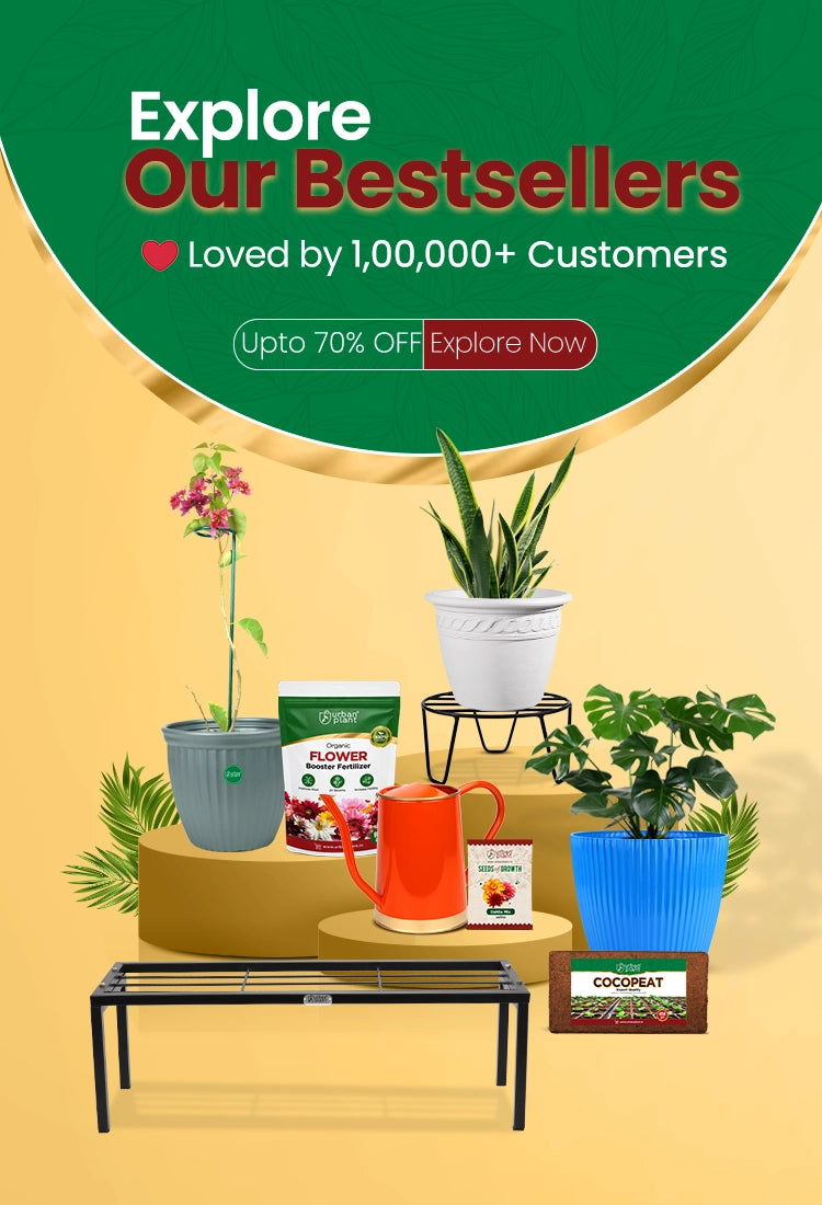 Plants, Pots, Tools & Accessories - Online Garden Store | Urban Plant