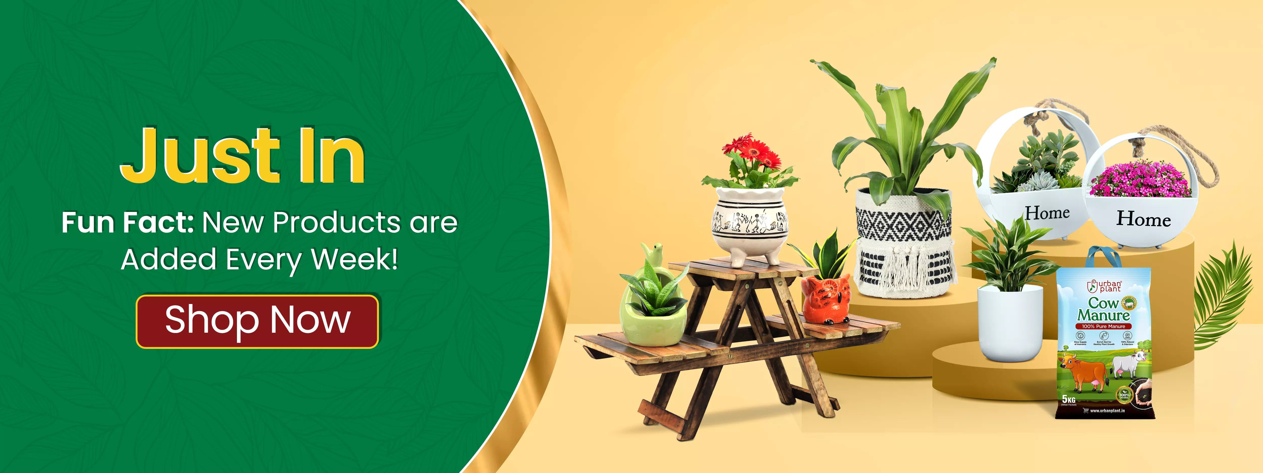 Plants, Pots, Tools & Accessories - Online Garden Store | Urban Plant