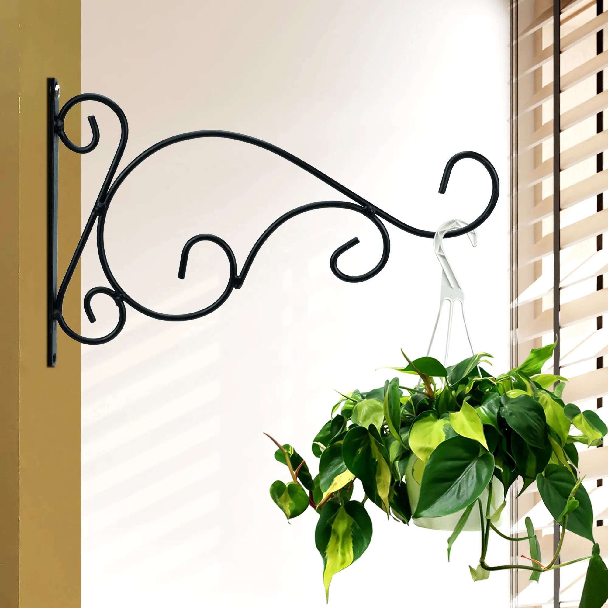 Curved Wall Bracket for Plant - (Set of 2)