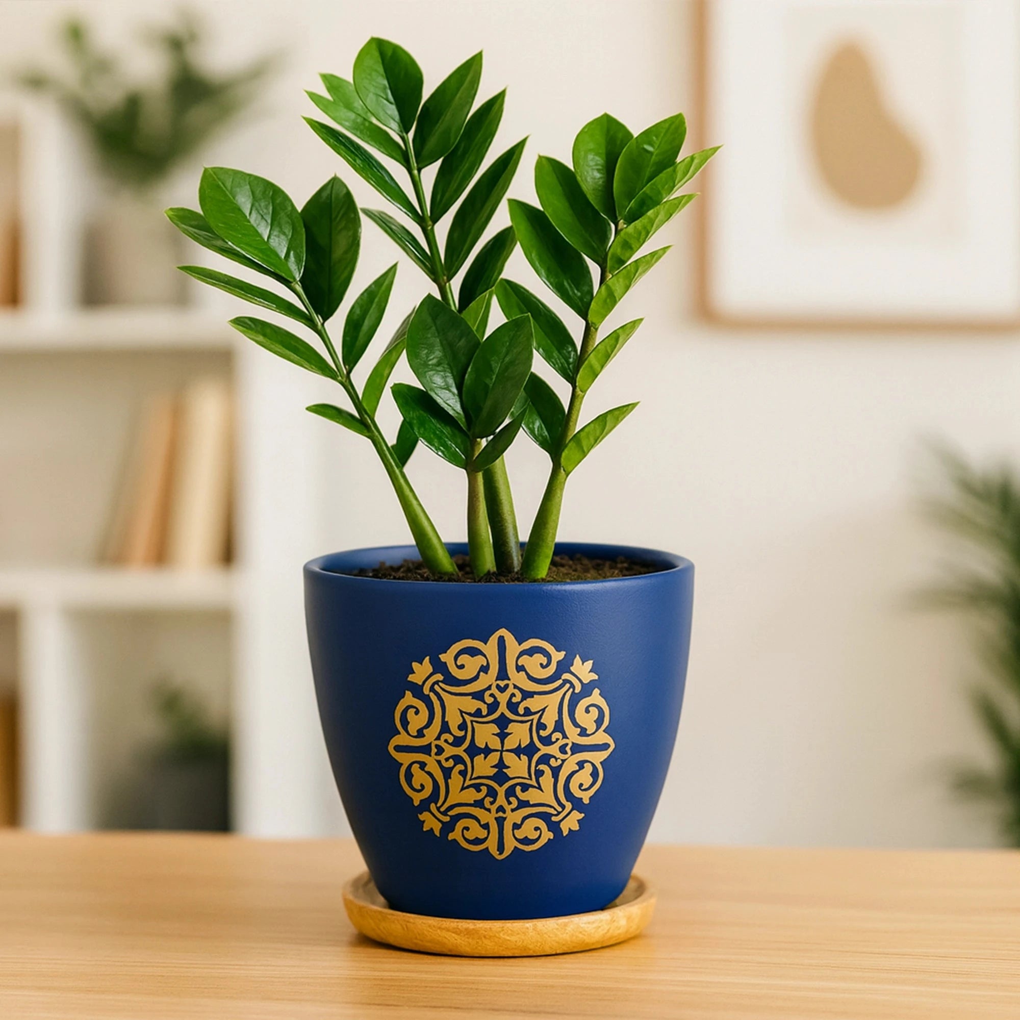 Motif Terracotta Pot With Wooden Saucer