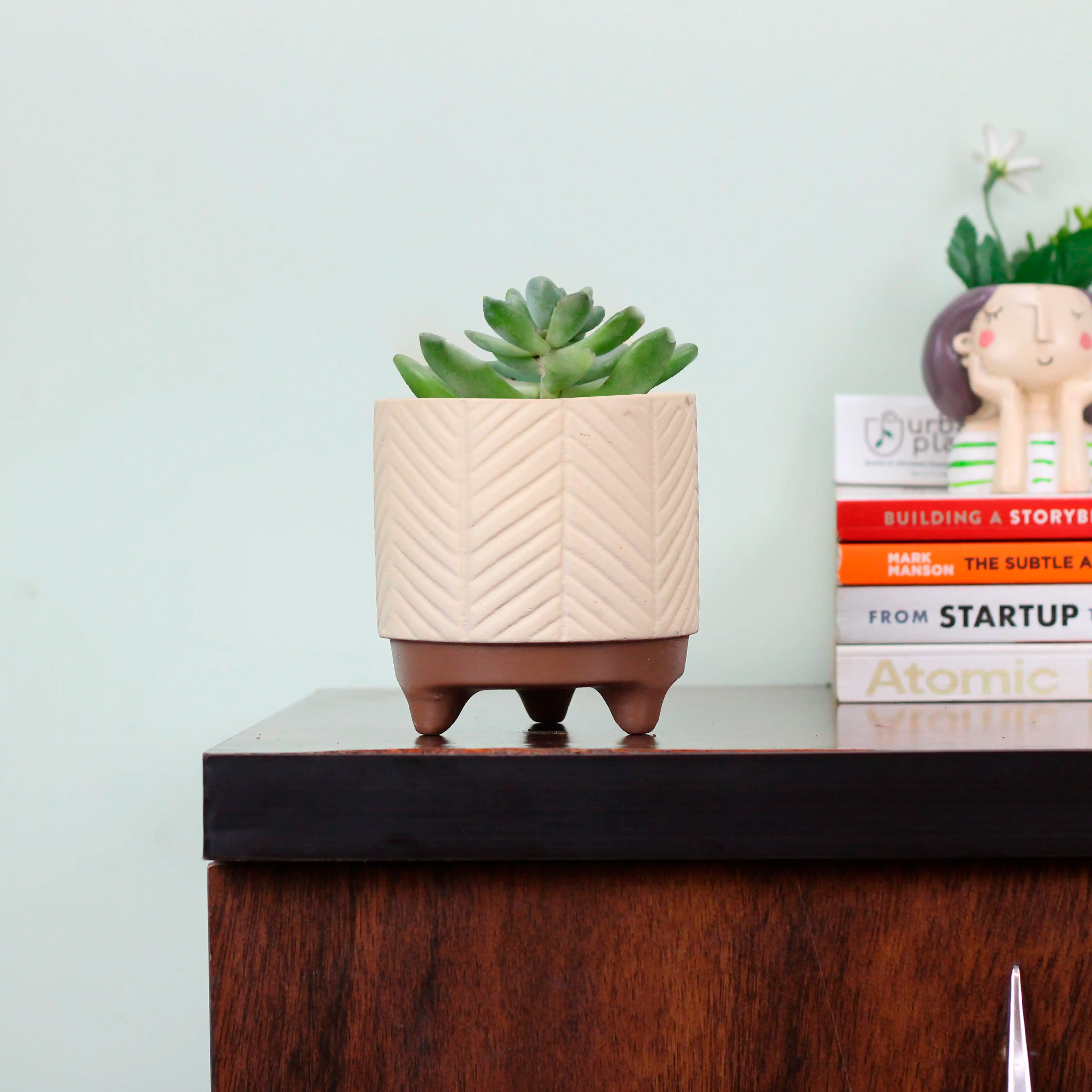 Emerald Terracotta Pot