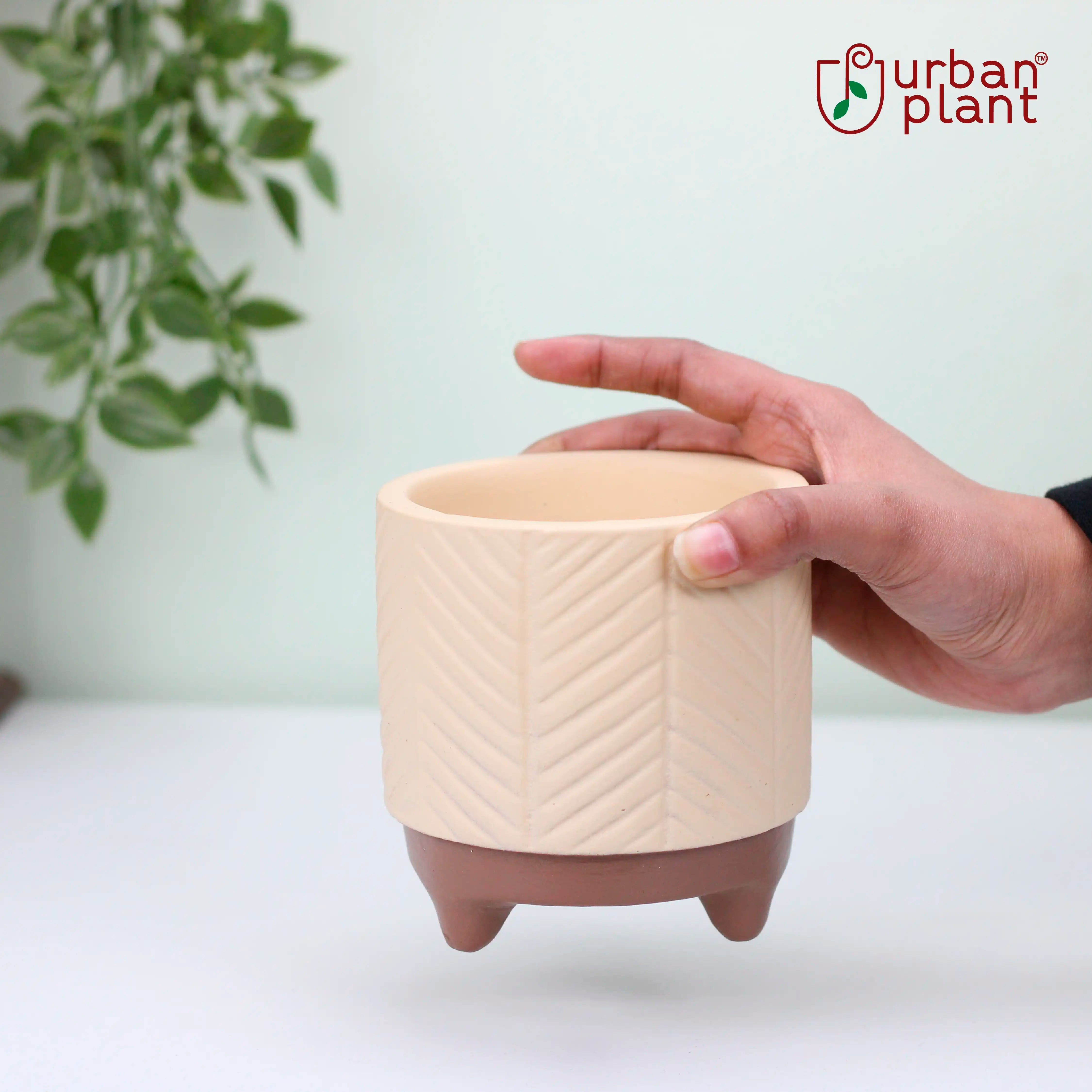 Emerald Terracotta Pot
