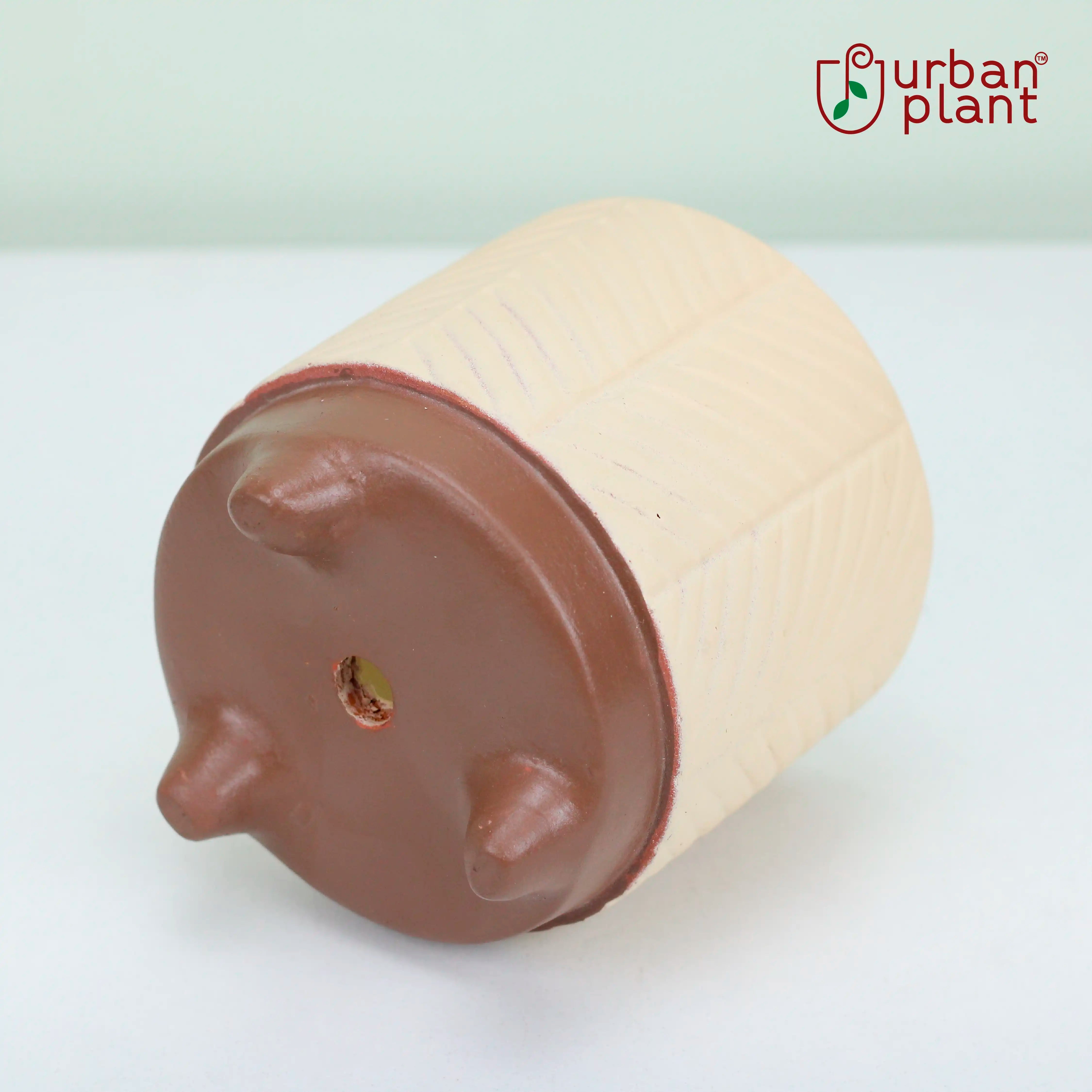 Emerald Terracotta Pot