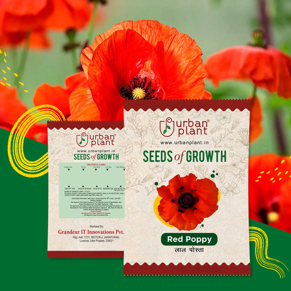 Poppy Pods Red Red Oriental Poppies With Their Crinkly, Paper Like