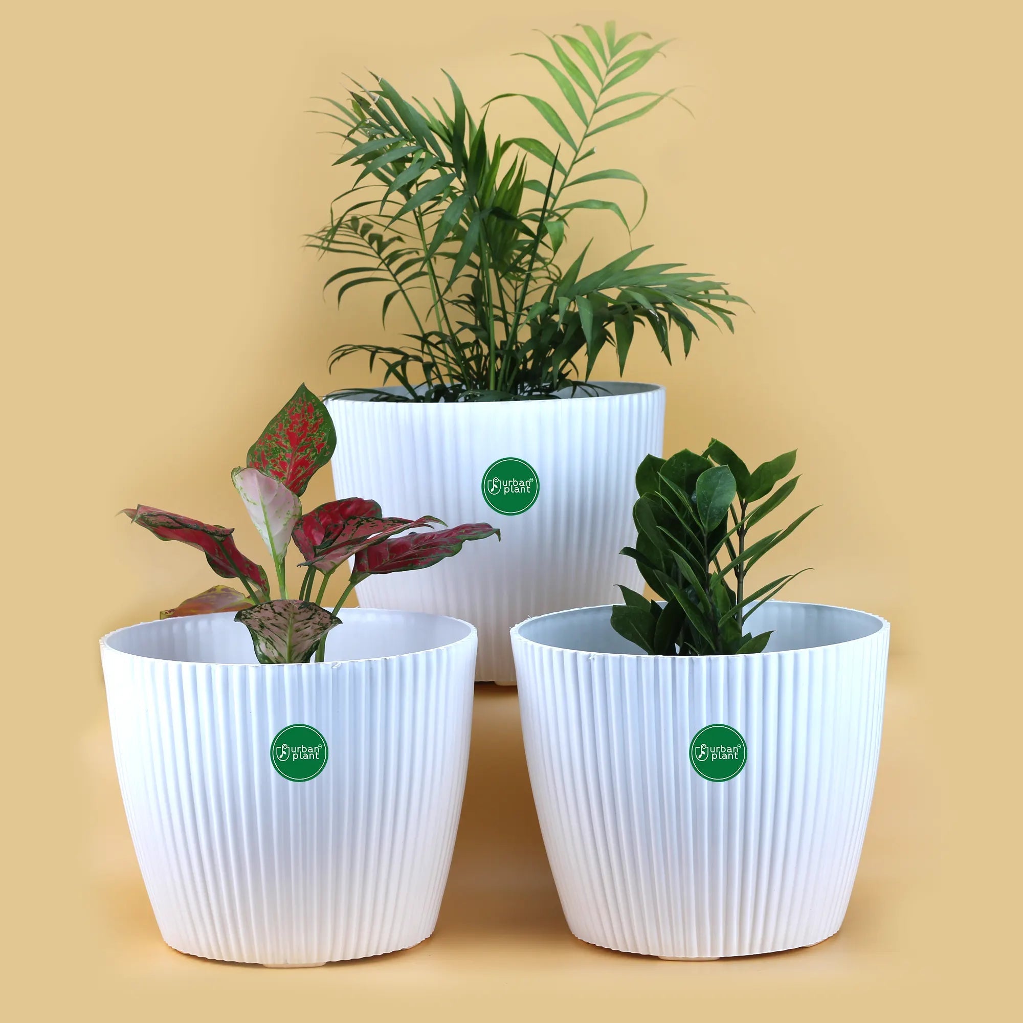 Decorative Round Shape Versatile 9-inch Plastic Pots for Garden/ Livin