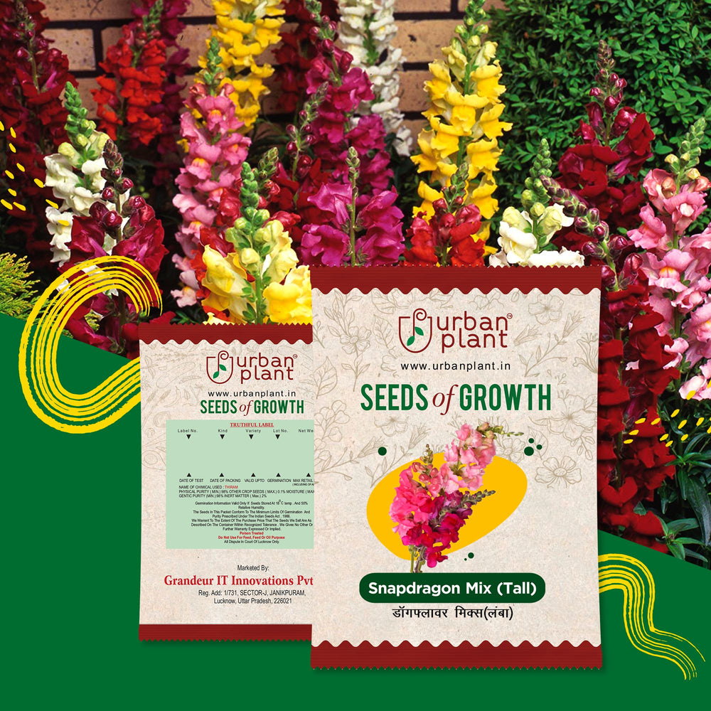 Snapdragon Mix Tall Flower Seeds
