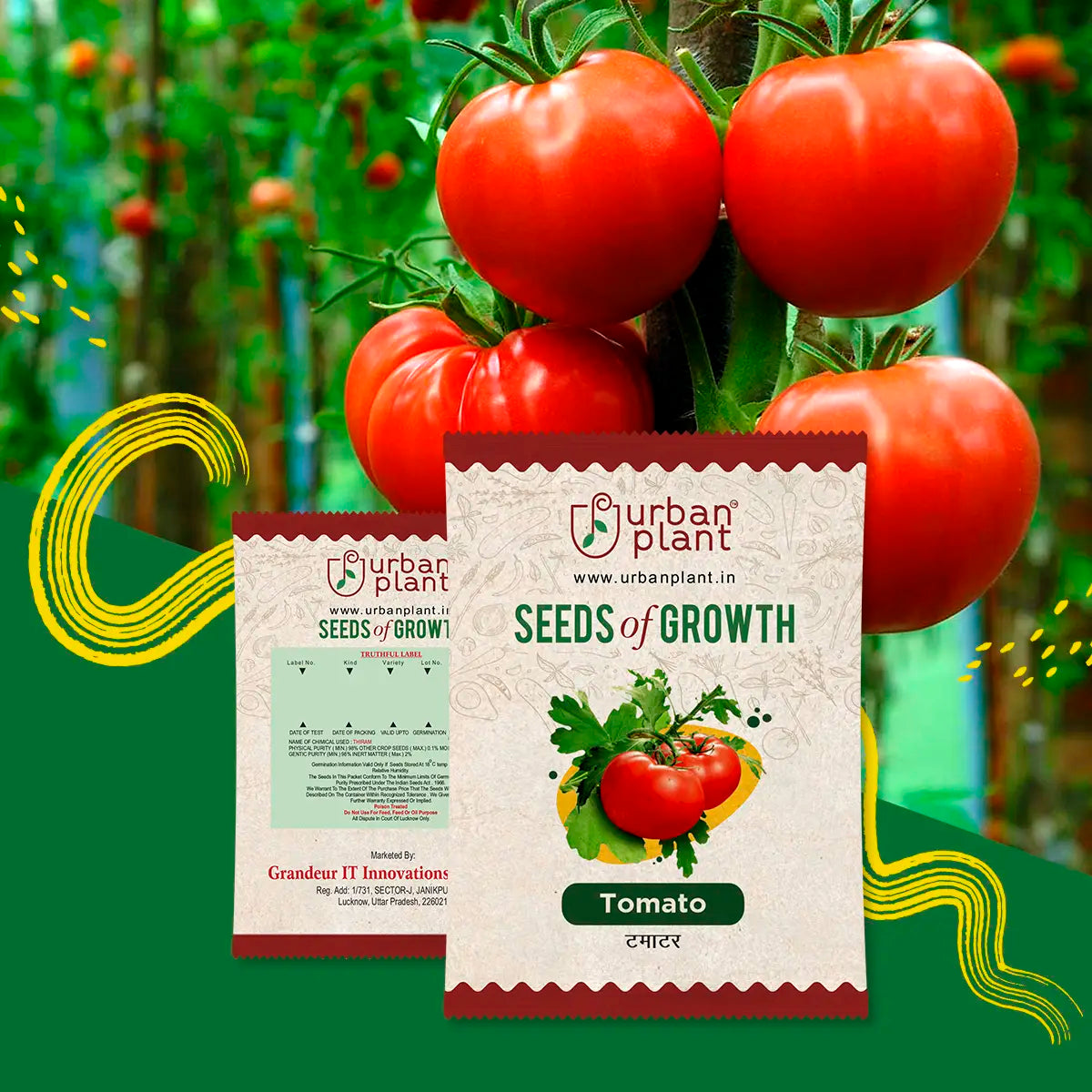 Tomato Plant Seeds Burpee Best 10 Tomato Seed Collection | 10 Packets