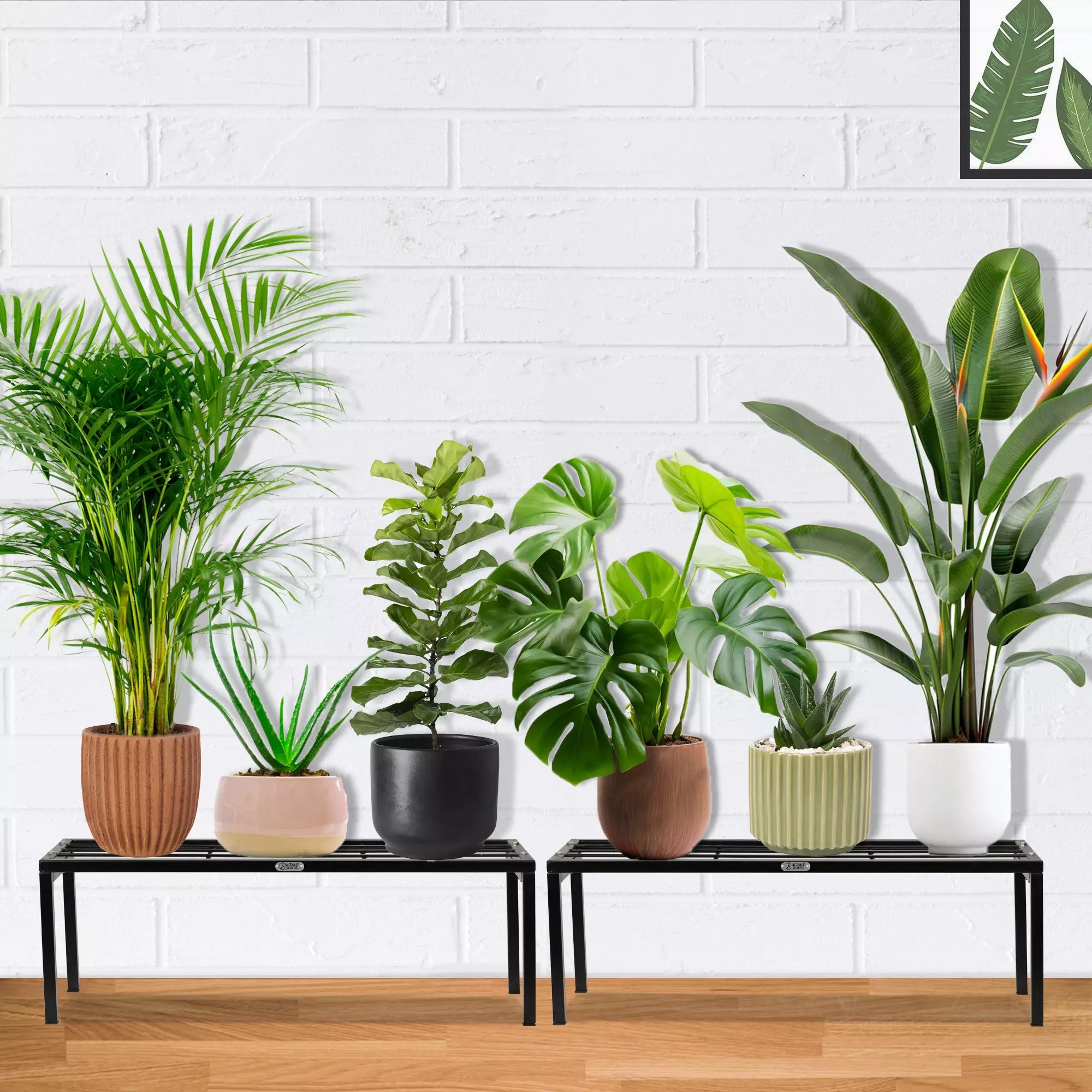 Buy Urban Plant Apollo Metal Plant Stand for Garden – Discount