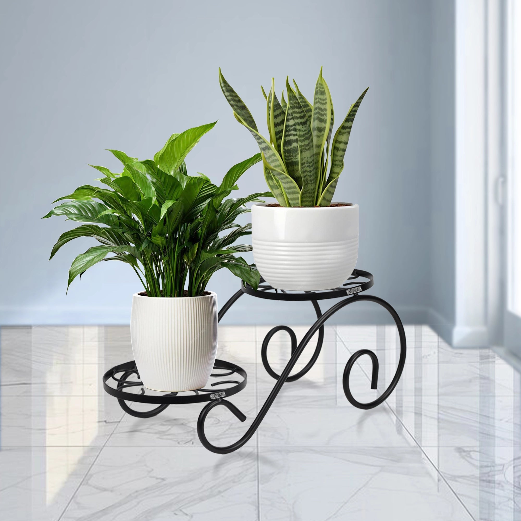 Plants, Pots, Tools & Accessories - Online Garden Store | Urban Plant