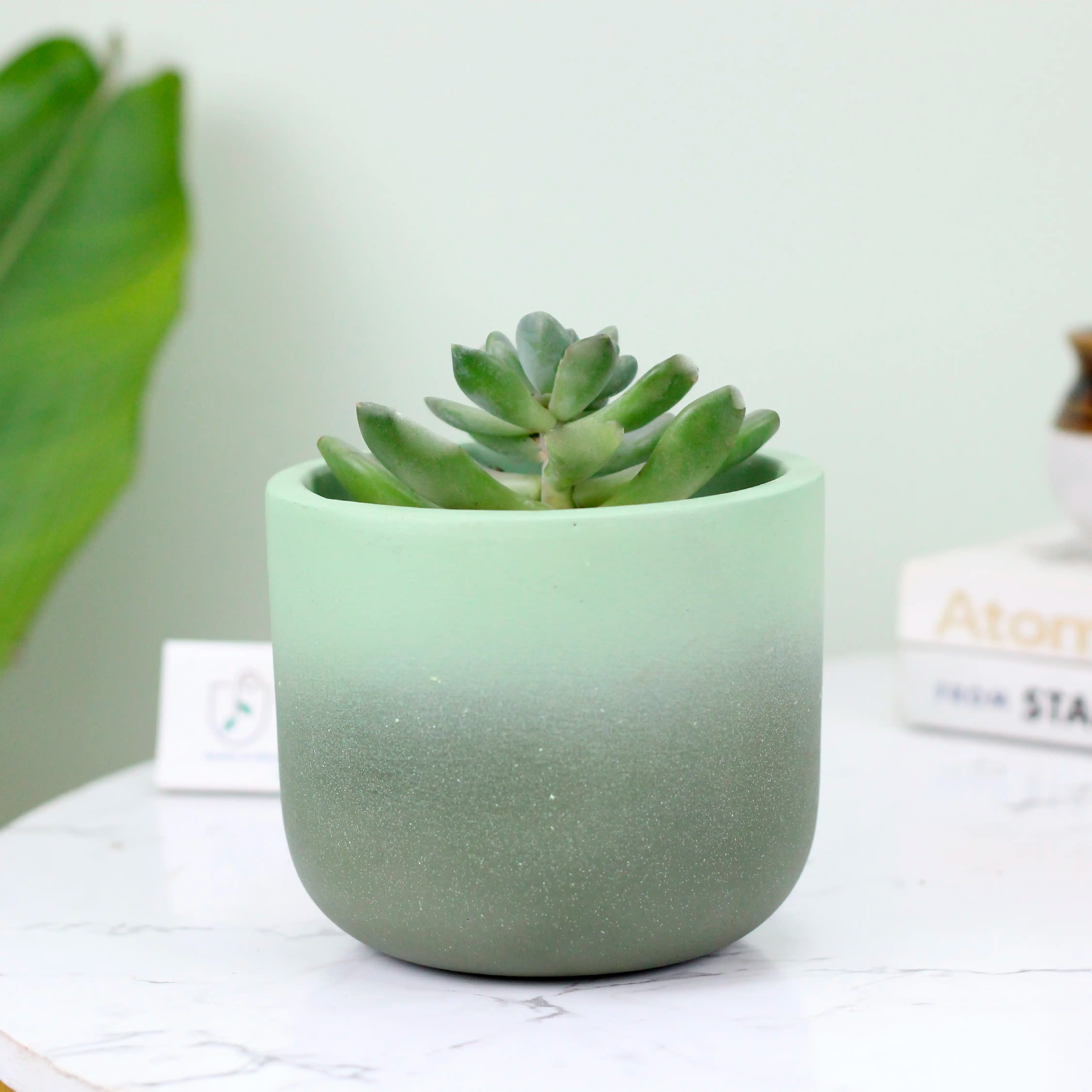 Gala Gradient Terracotta Pot