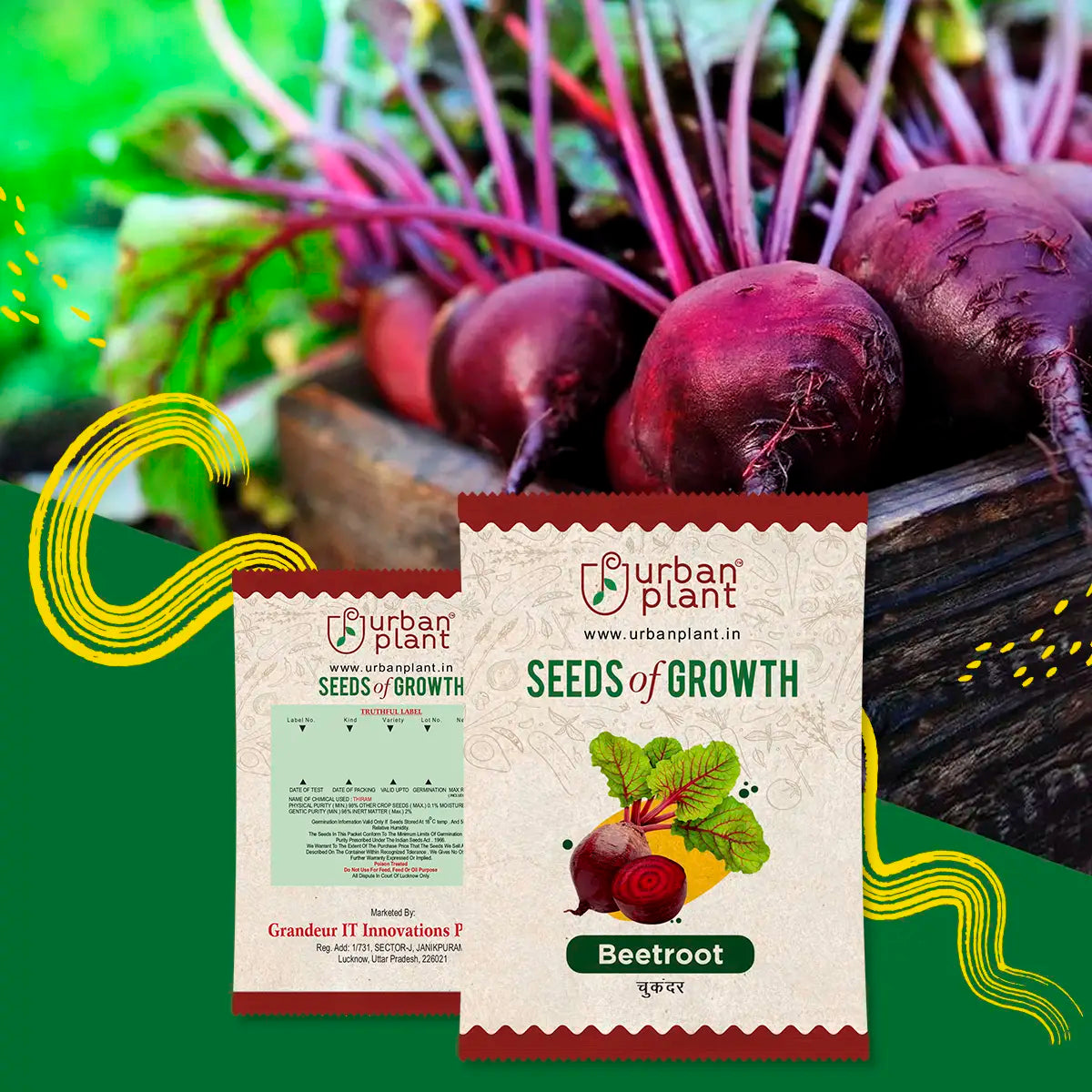 Buy Beetroot Seeds Online-Urban Plant