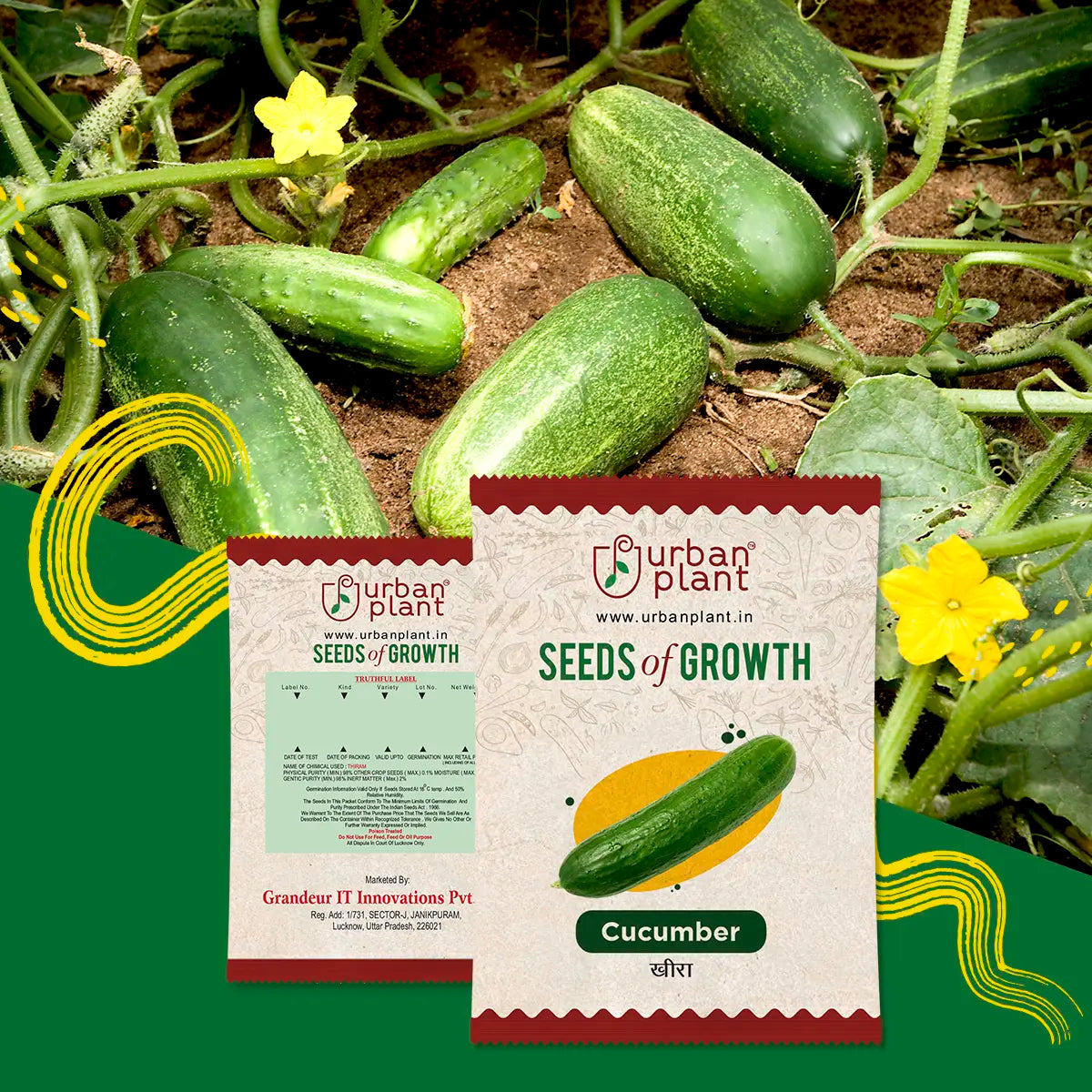 Buy Cucumber Seeds Online-Urban Plant