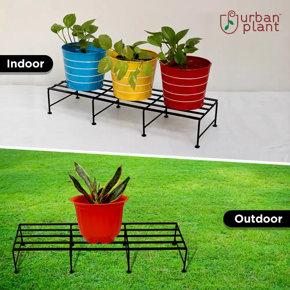 Stand For Planters Arachnida Iron Plant Stand For Indoor Outdoor Use stand-for-planters-arachnida-iron-plant-stand-for-indoor-outdoor-use